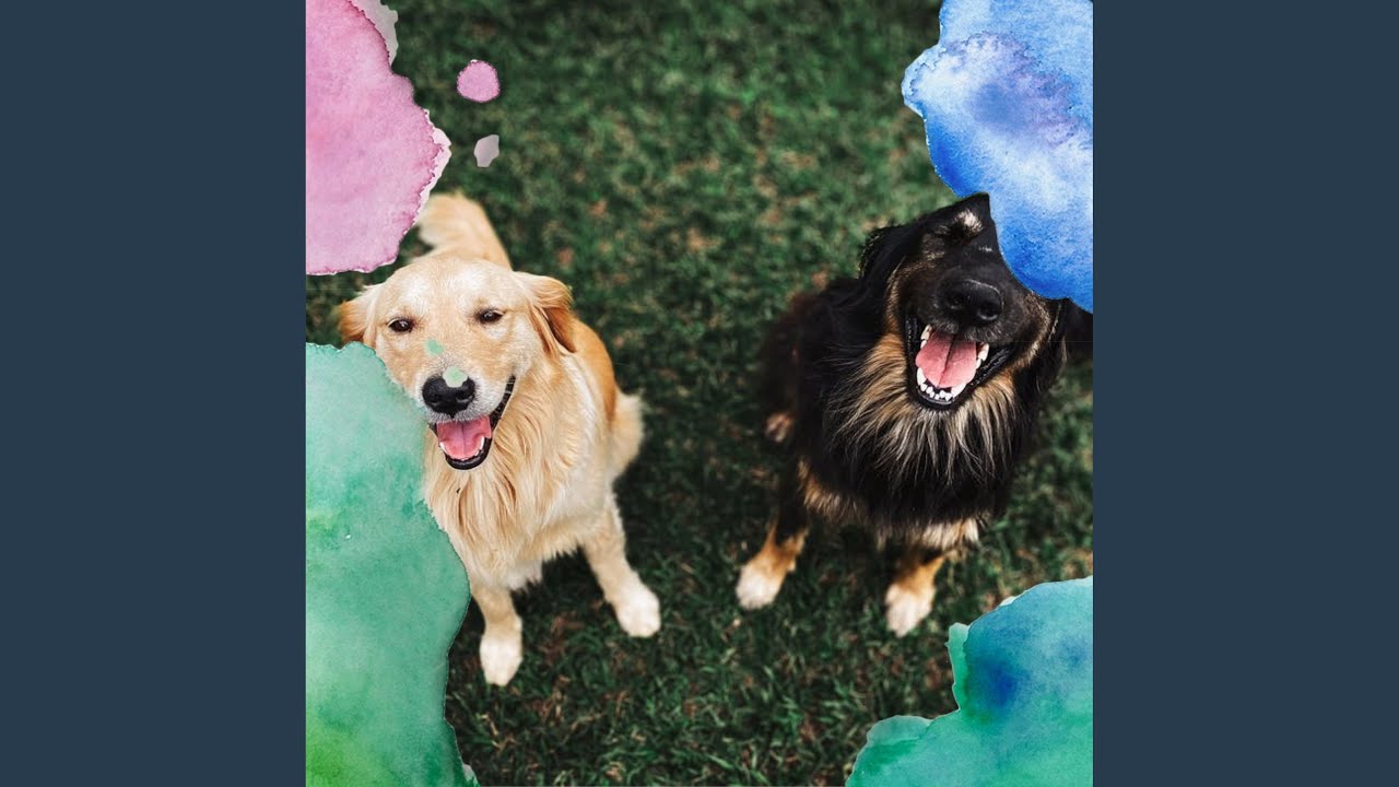 Fiery Best Dogs - YouTube