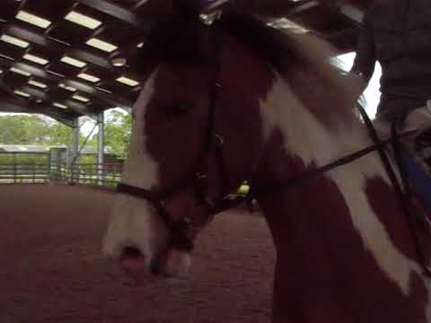 Mary Leigh Interdressage April 2019