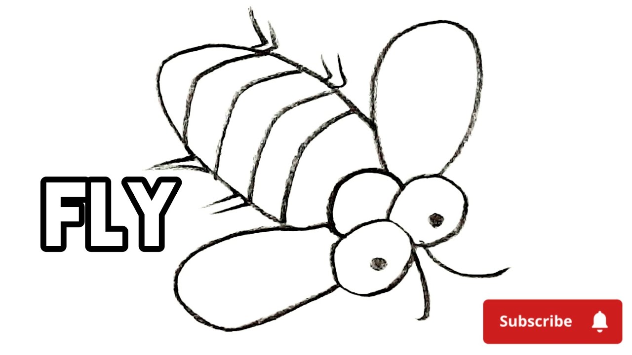 Easy Way To Draw Fly 🌈 With Pencil For Kids🍒 - YouTube