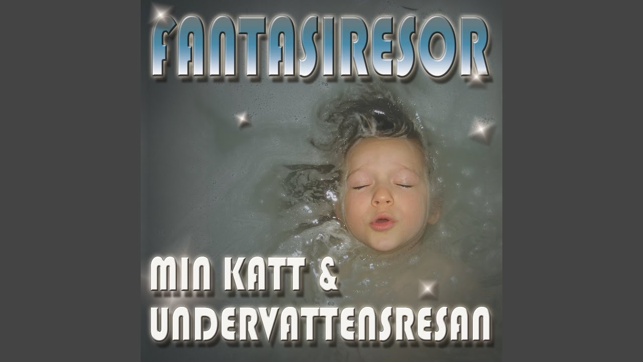 Min katt - YouTube