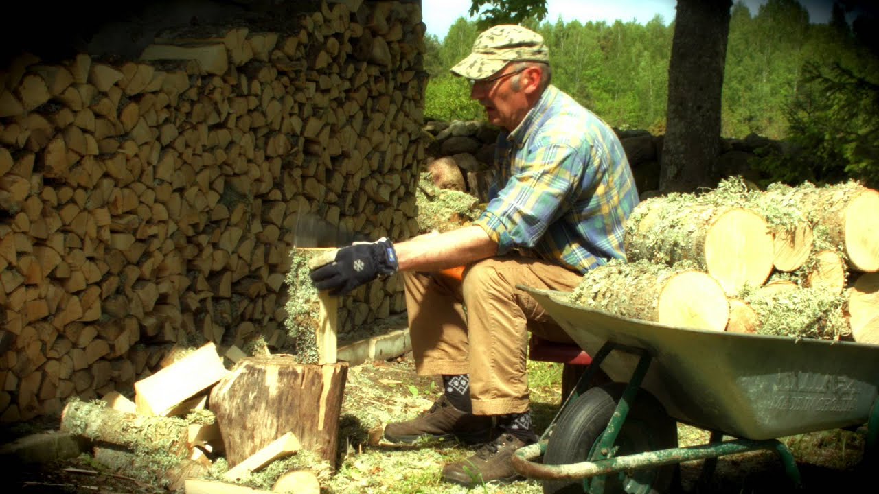 Life cycle - Wood cycle - YouTube