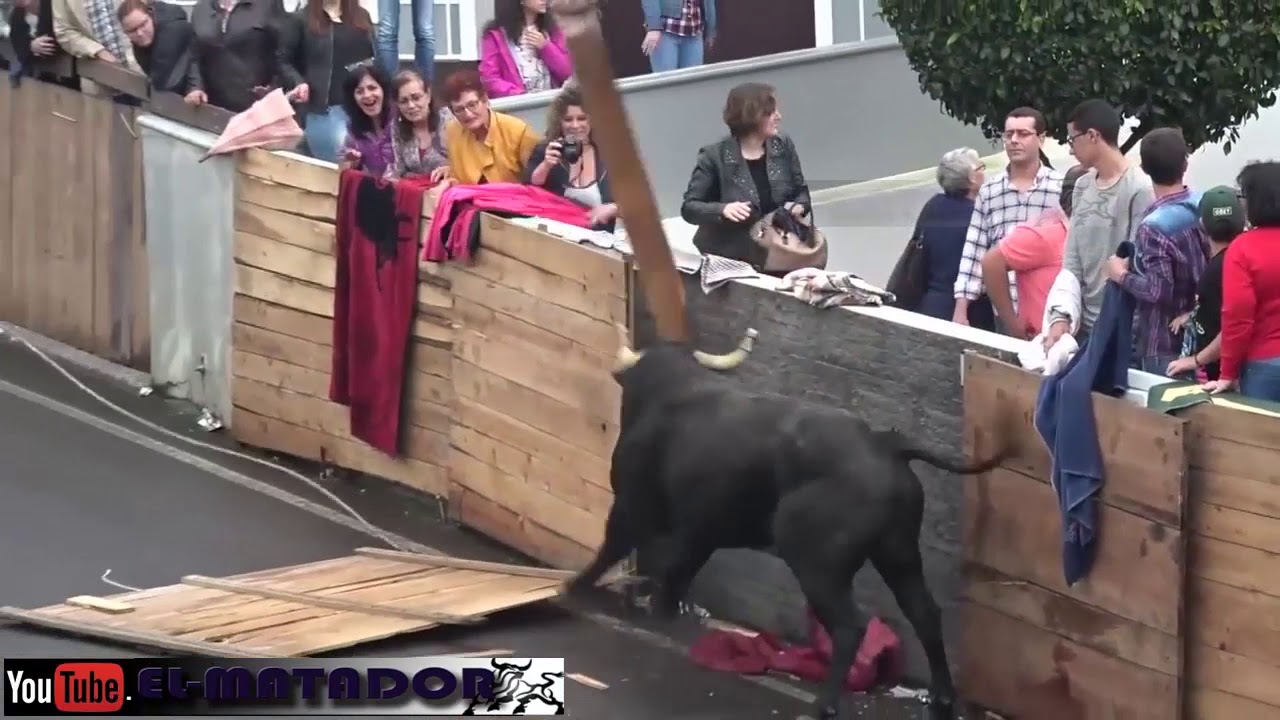 EL MATADOR Toiros e Confusão Best OF 2016 Clip Nº1 Ilha Terceira Azores ...