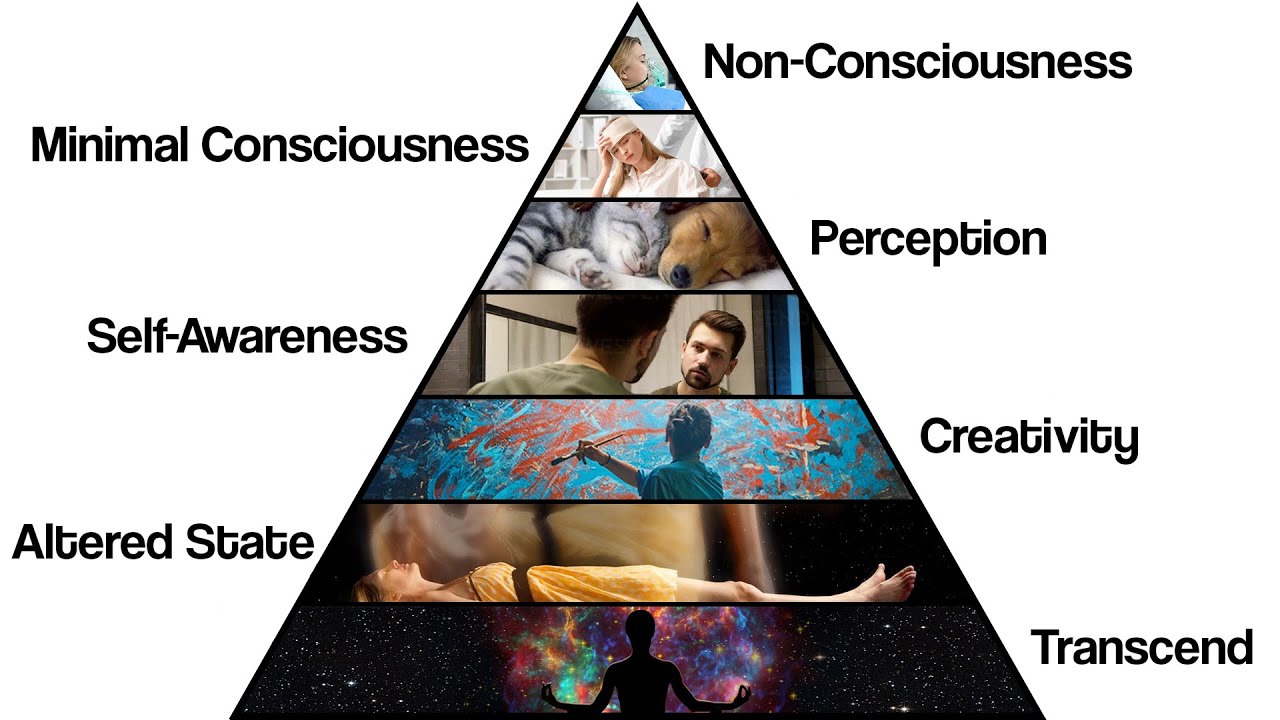 Every Level of Consciousness Explained - YouTube