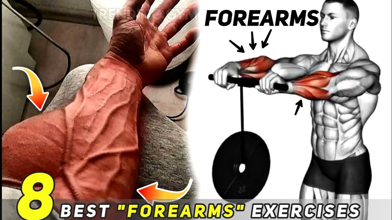 8 Super Effective FOREARMS Workout Routine - Arms Workout - YouTube