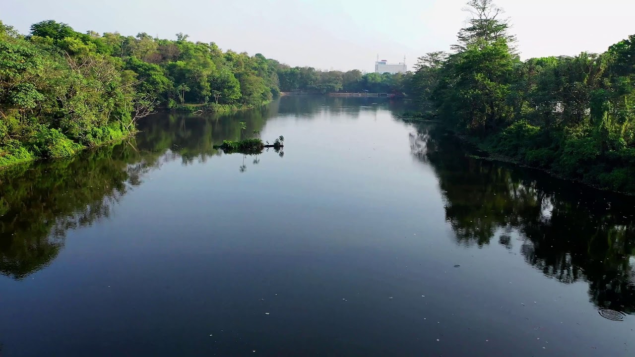 nature drone shot - YouTube