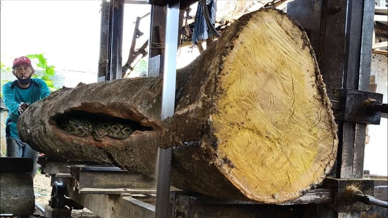 Fantastic texture of beautiful old jackfruit wood in the sawmill - YouTube