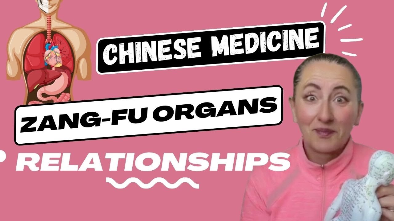 The Yin & Yang Organs Relationships in Chinese Medicine (Zang Fu) - YouTube