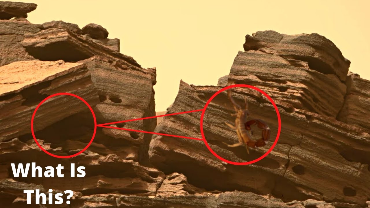 7 UNEXPECTED Things Scientists Found On Mars | Real Images - YouTube