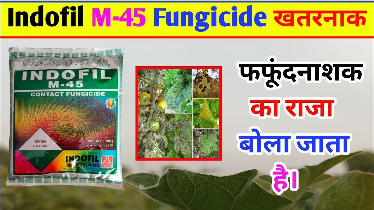 Indofil M-45 Fungicide | M-45 Fungicide | Mancozeb 75% wp | Mancozeb ...