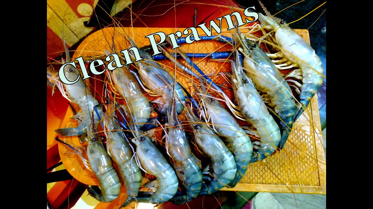 How to Clean prawns?? No Big Deal! Do it easily like a pro. - YouTube