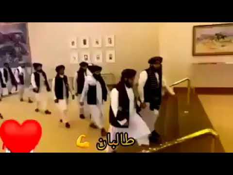 Taliban Afghanistan best entry status