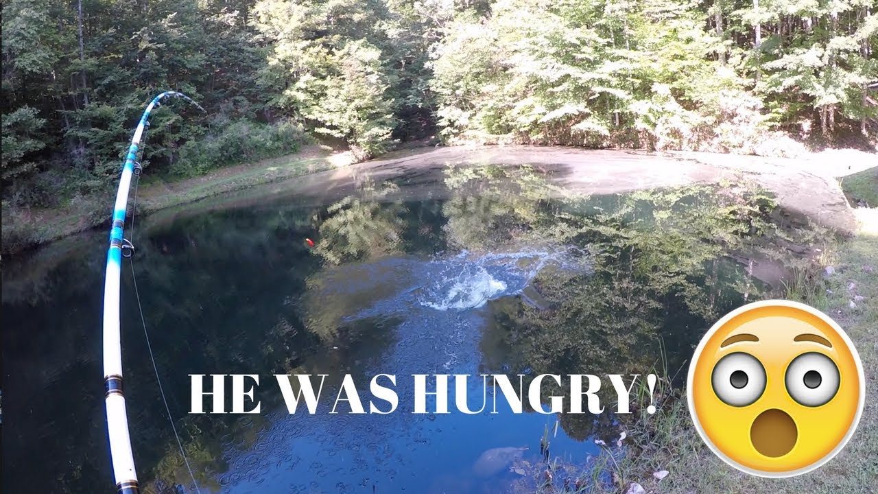 The 10 Second Catfish Bite! - YouTube