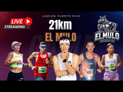 Medio maratón El Mulo del Valenciano 2026 🎥 🇵🇷