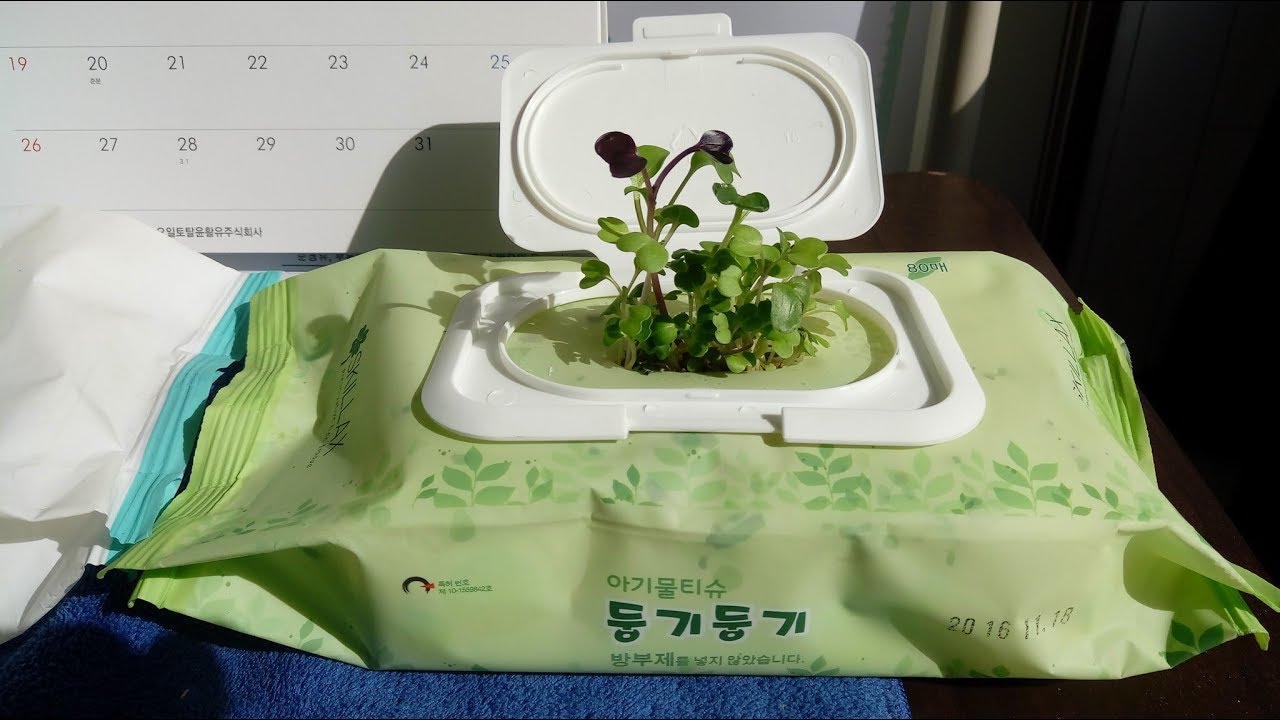 Natural minerals BIO WET TISSUE - YouTube