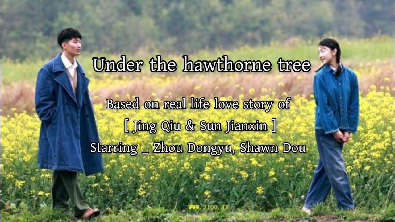 Under The Hawthorne Tree 2010, Based on real life love story of Jing ...