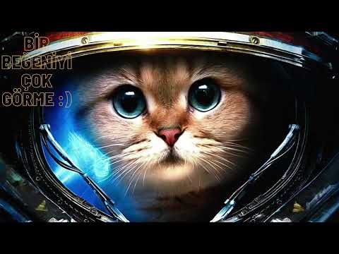 Dikkat Babanız Arıyor | Zil Sesi - Ringtone