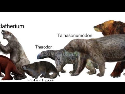 Size comparison sloth presents 1 and prehistoric sloths - YouTube