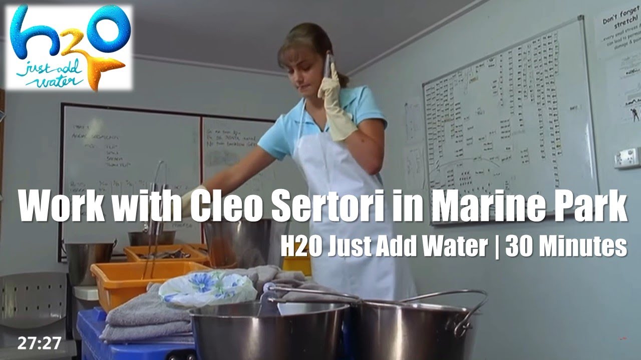 Work with Cleo Sertori in Marine Park 30' | H2O Just Add Water 🐬🌊 - YouTube