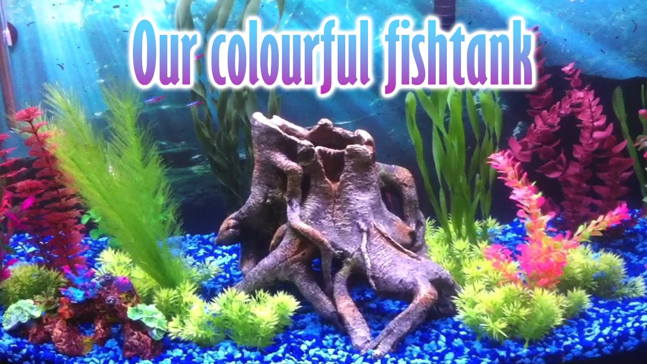 Colorful Fish Tank Setup - YouTube