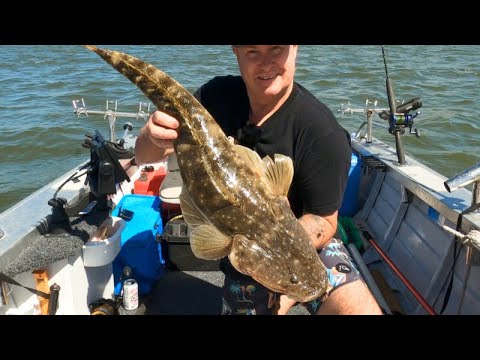 Jew fishing the Hunter River, big Flathead and School Jewfish - YouTube