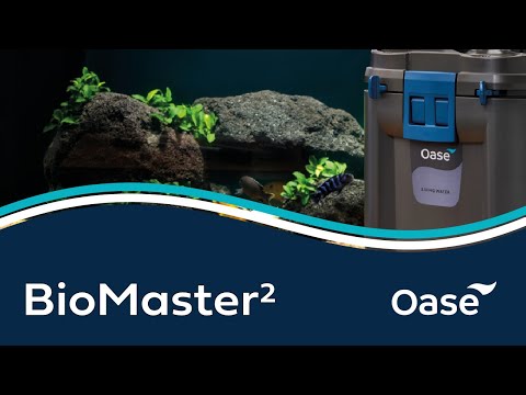 OASE | New generation of the BioMaster² | Aquarium