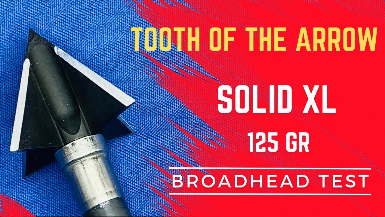 TOOTH of the ARROW XL SOLID 125 gr Broadhead Test--One of the Best in ...