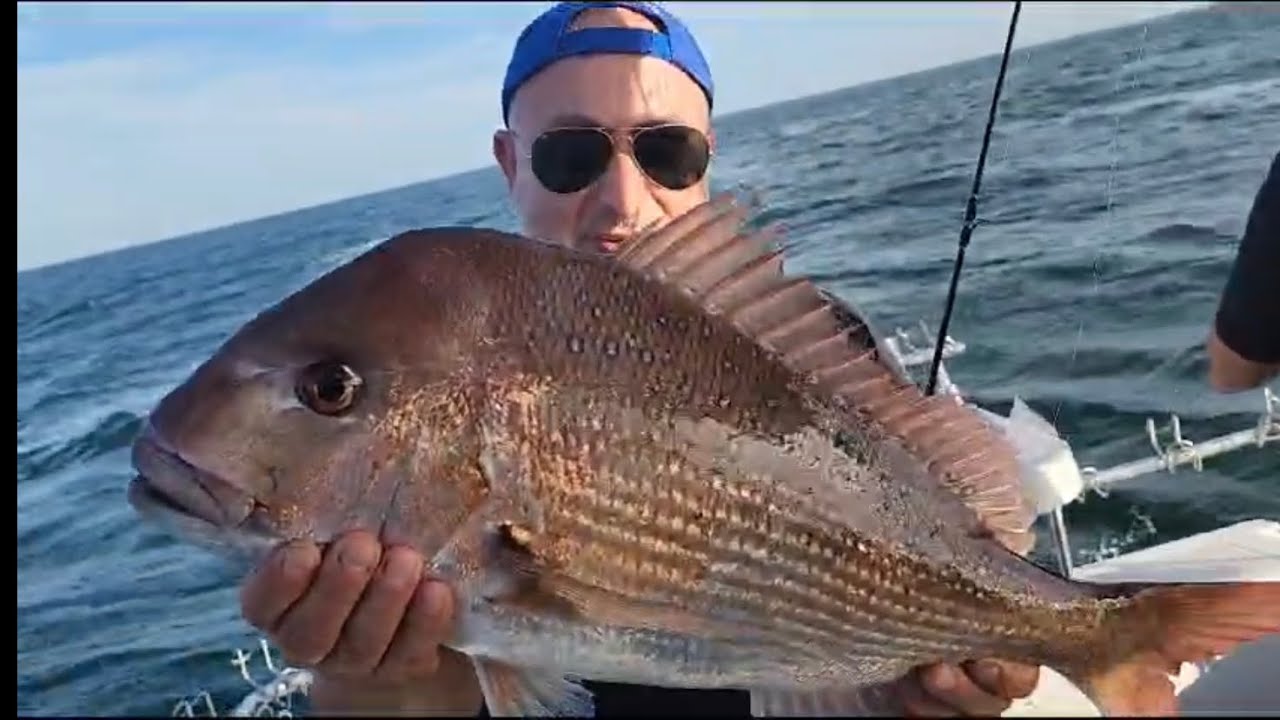 Big Red Snapper - YouTube