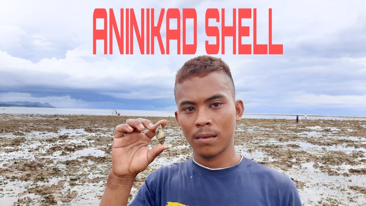 EP10: How to catch Aninikad Shell (Panginhas Adventure) - YouTube