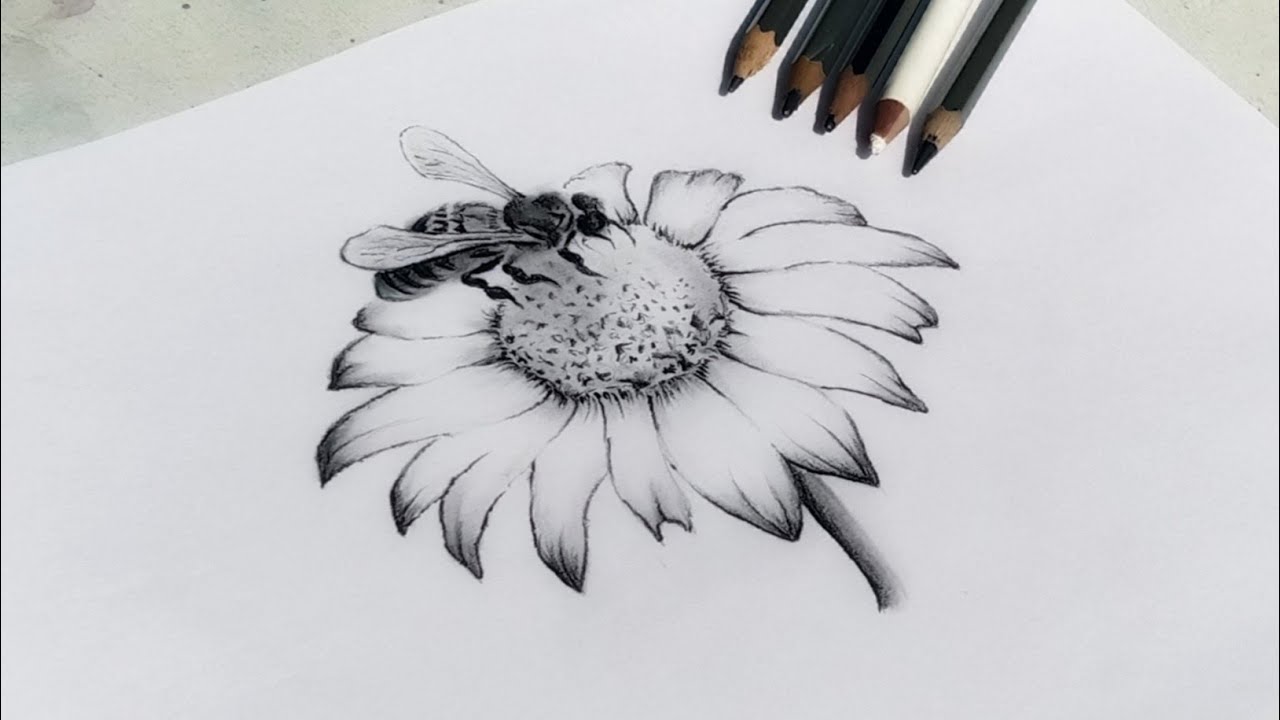Bee Pollinating Flower Drawing | Best Flower Site