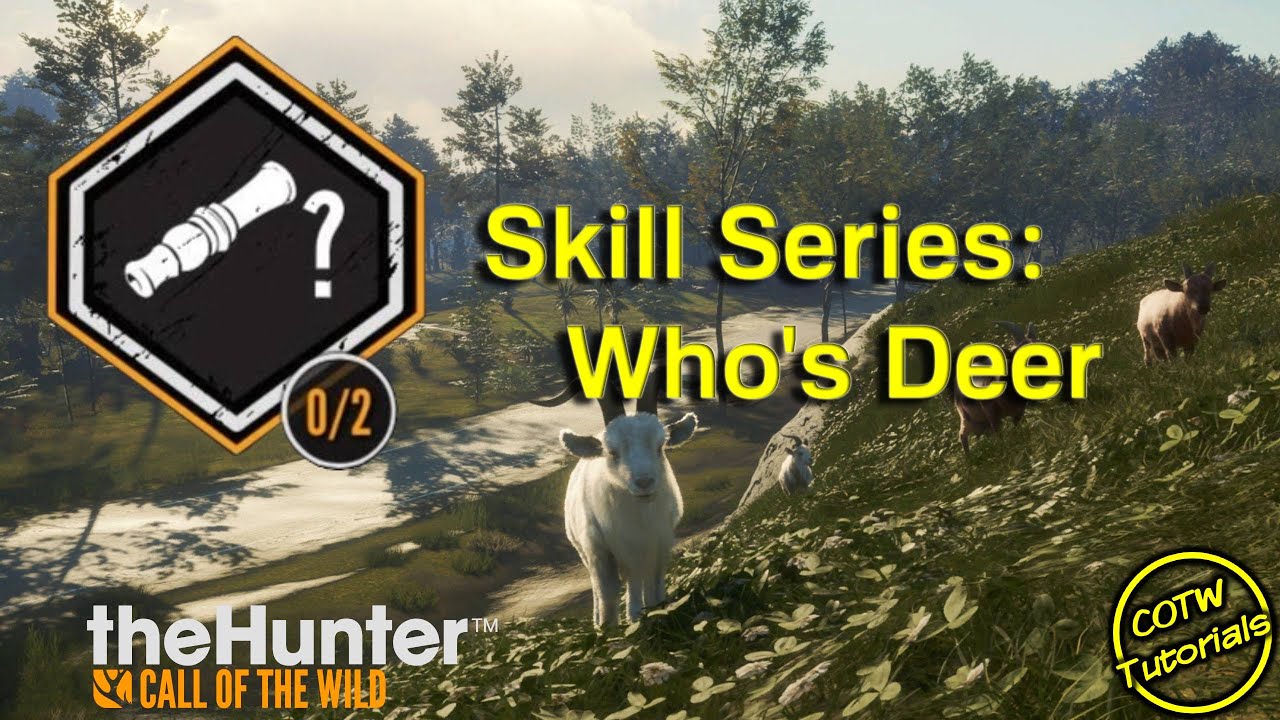 Who's Deer Skill - YouTube