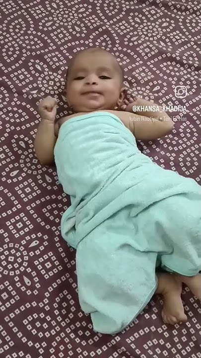 Cutie Pies In Action Youtube