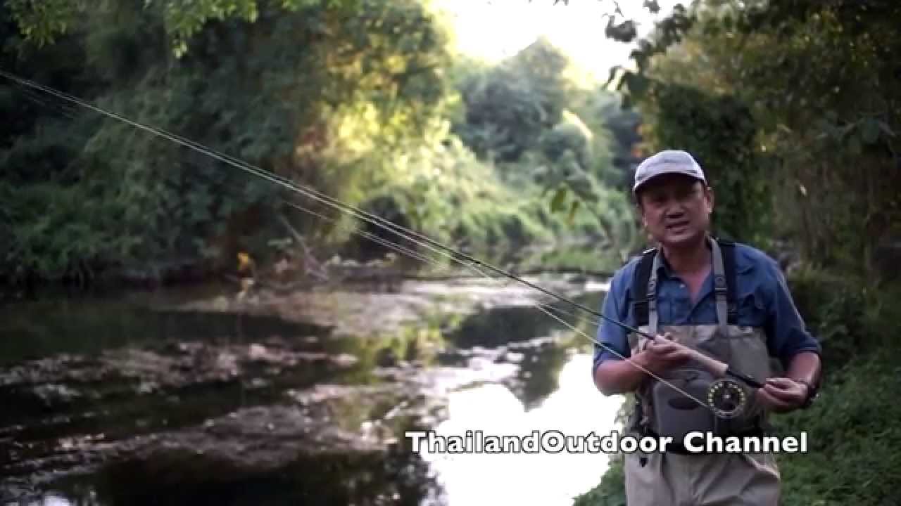 Sage Accel - YouTube