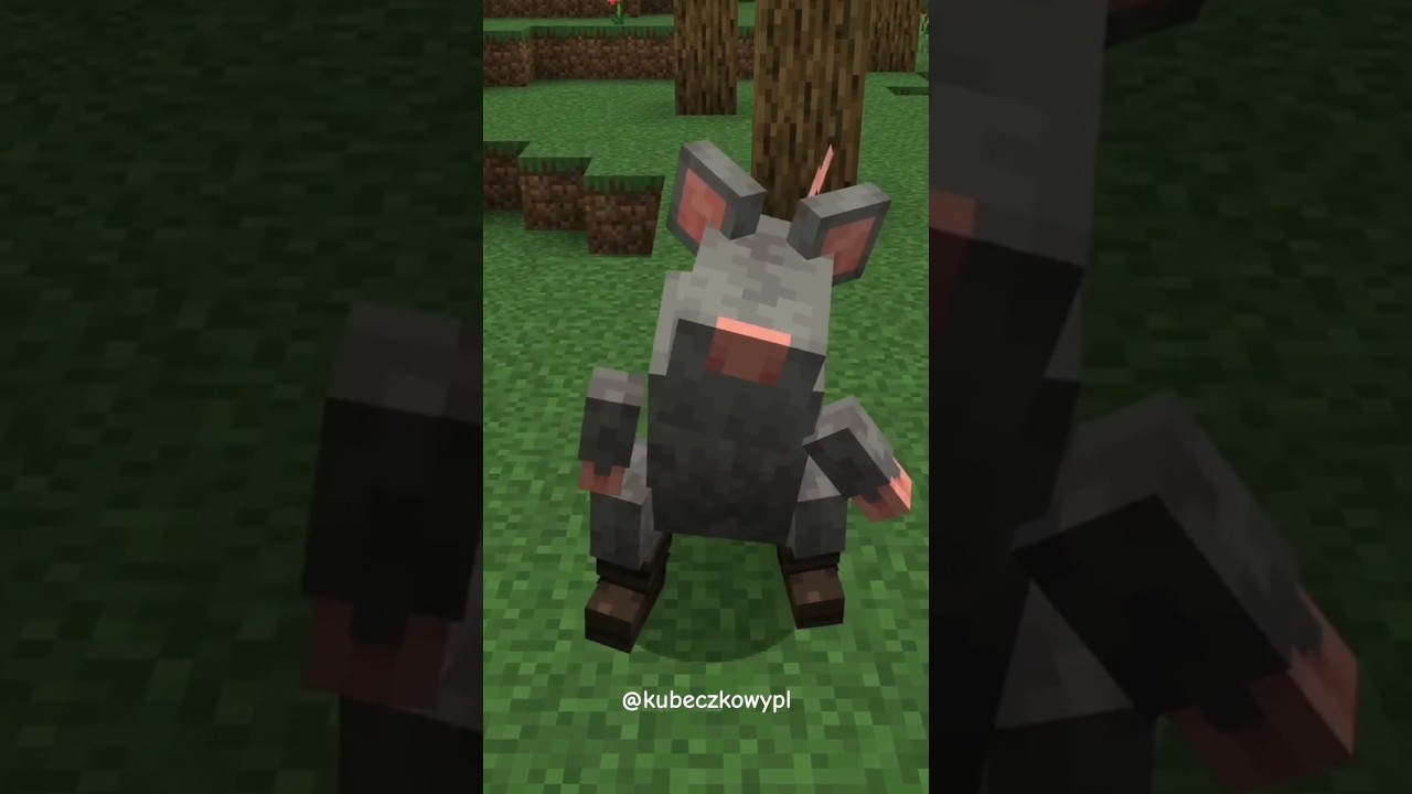 Rat dance minecraft #minecraft #rat #ratdance #animation #foryou #dc # ...