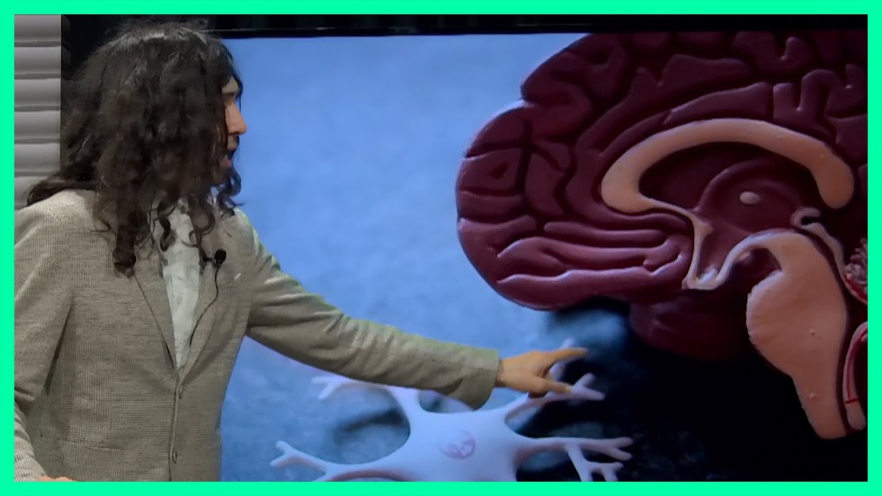 Sistemi frymëmarrjes dhe i zemrës | Box Shëndeti - YouTube