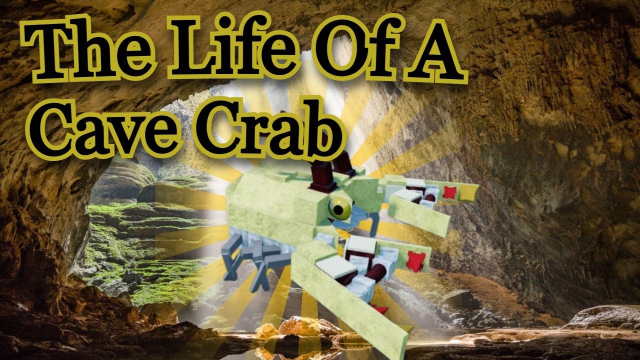 The Life Of A Cave Crab [Documentary] Evolve 3D - YouTube