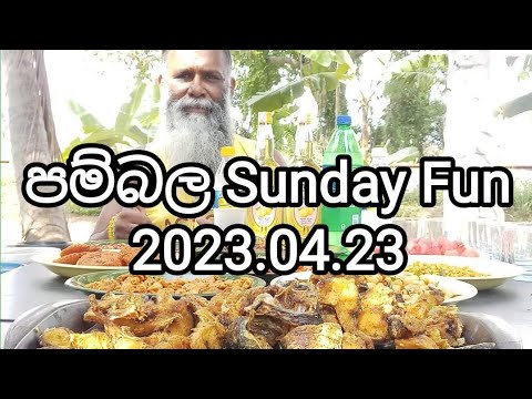 Pambala Sunday Fun පම්බල සන්ඩේ ෆන් 2023.04.23 - YouTube