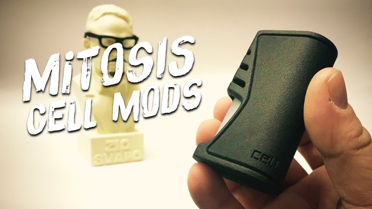 MITOSIS BY CELL MODS - YouTube
