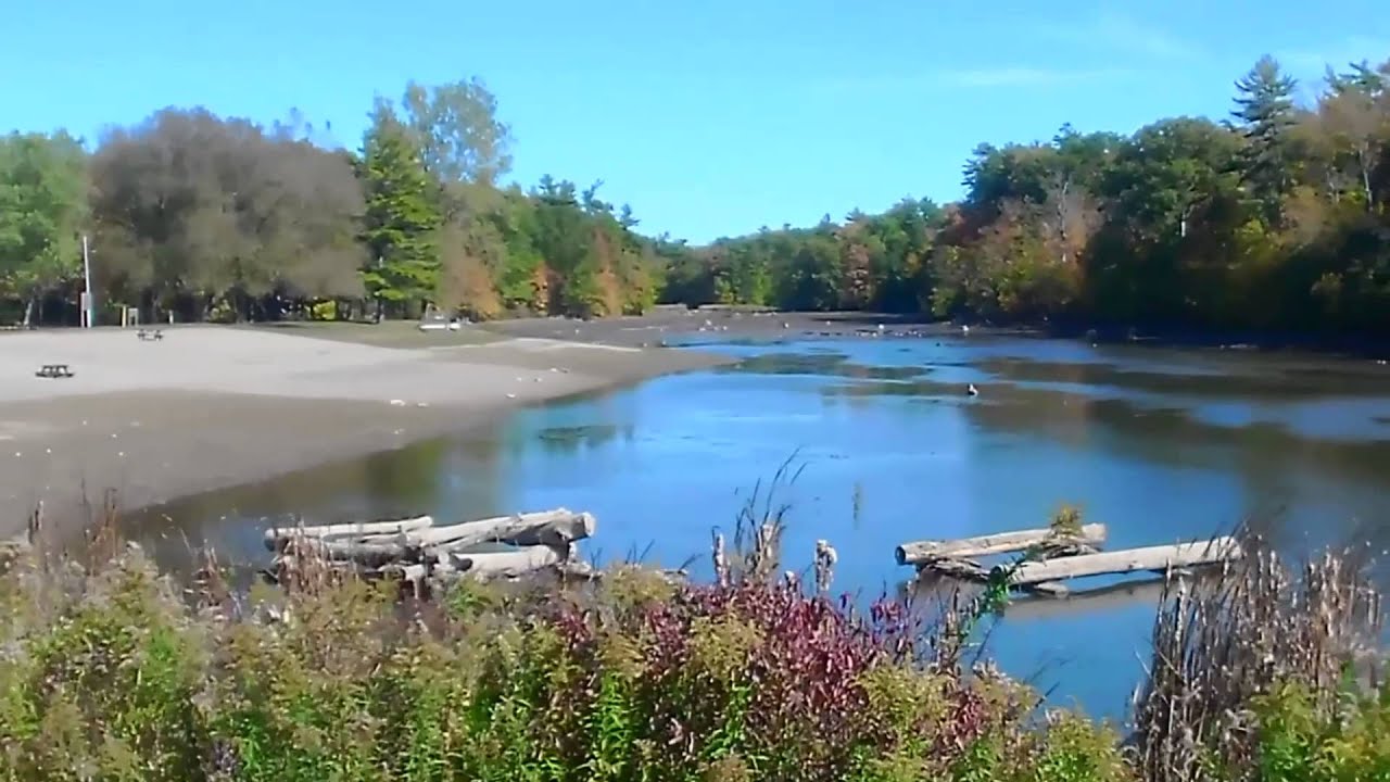Springwater Conservation Area DRAINED! - YouTube