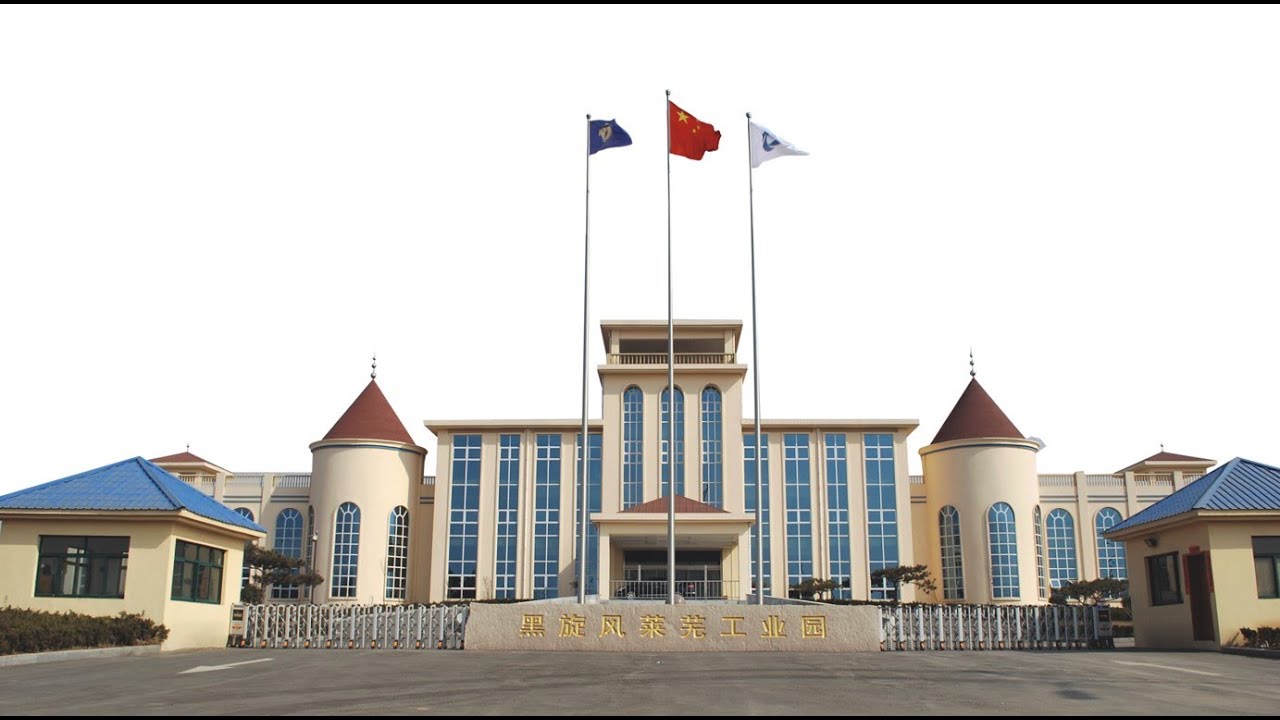 COMPANY PROFILE - YouTube