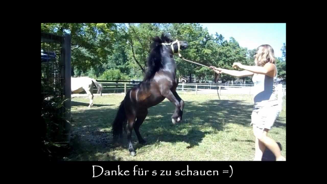 Shettys Springen - YouTube