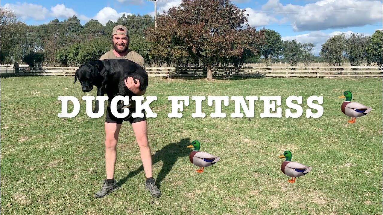 Keeping "Duck Fit" During Lockdown - YouTube