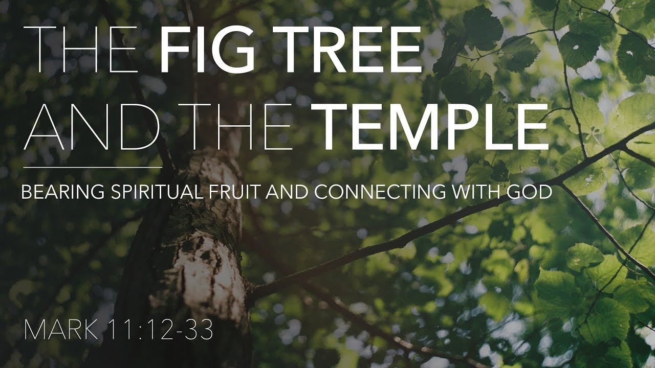 Mark 11:12-33 "The Fig Tree and the Temple" - YouTube