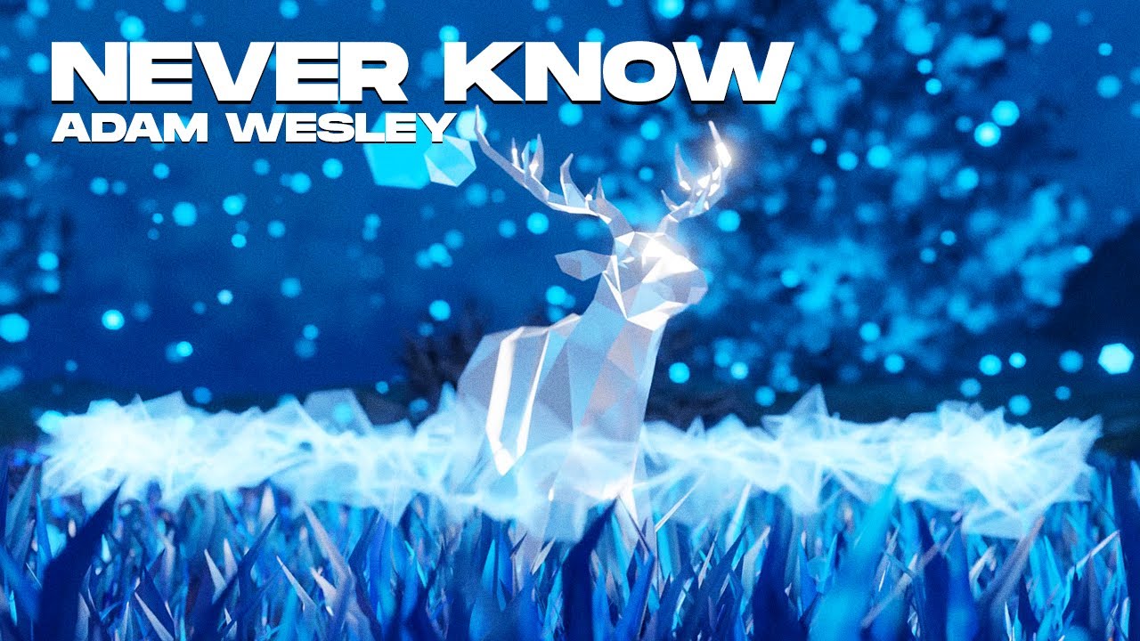 Adam Wesley - Never Know [Rocketfuel Club Release] - YouTube