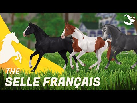 Selle Français ✨ | Star Stable Horses