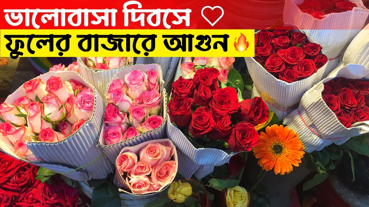 ভালোবাসা দিবসে ফুলের বাজারে আগুন🔥valentines day Special Video🌹Shahbag ...