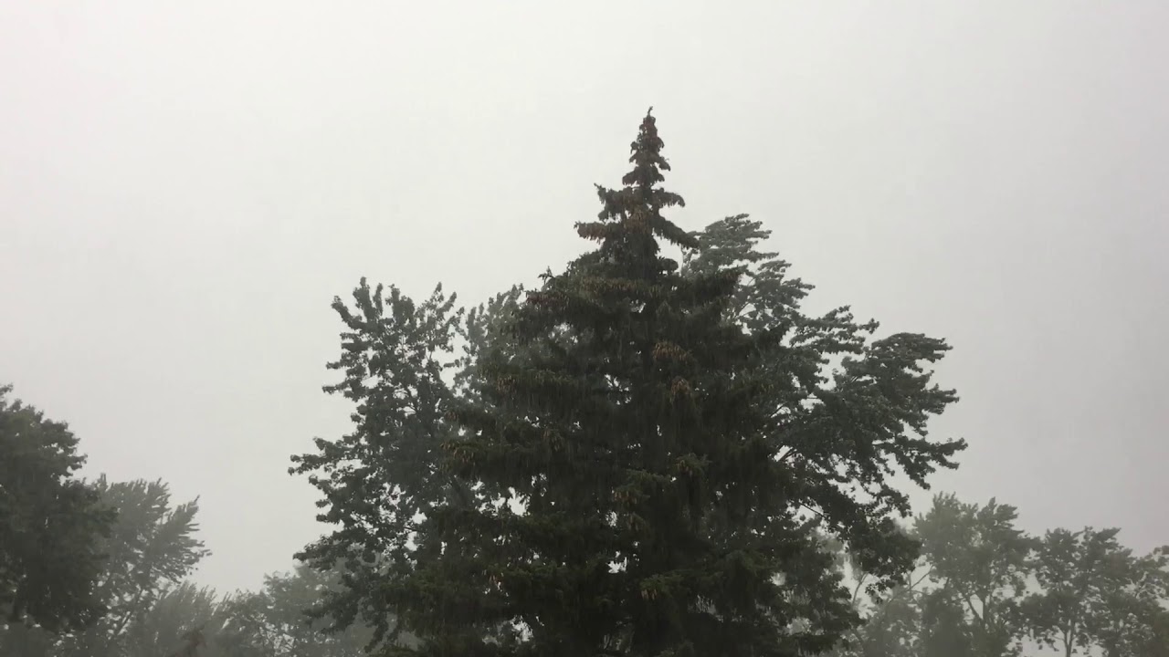 Storm w/ multiple close lightning strikes - YouTube