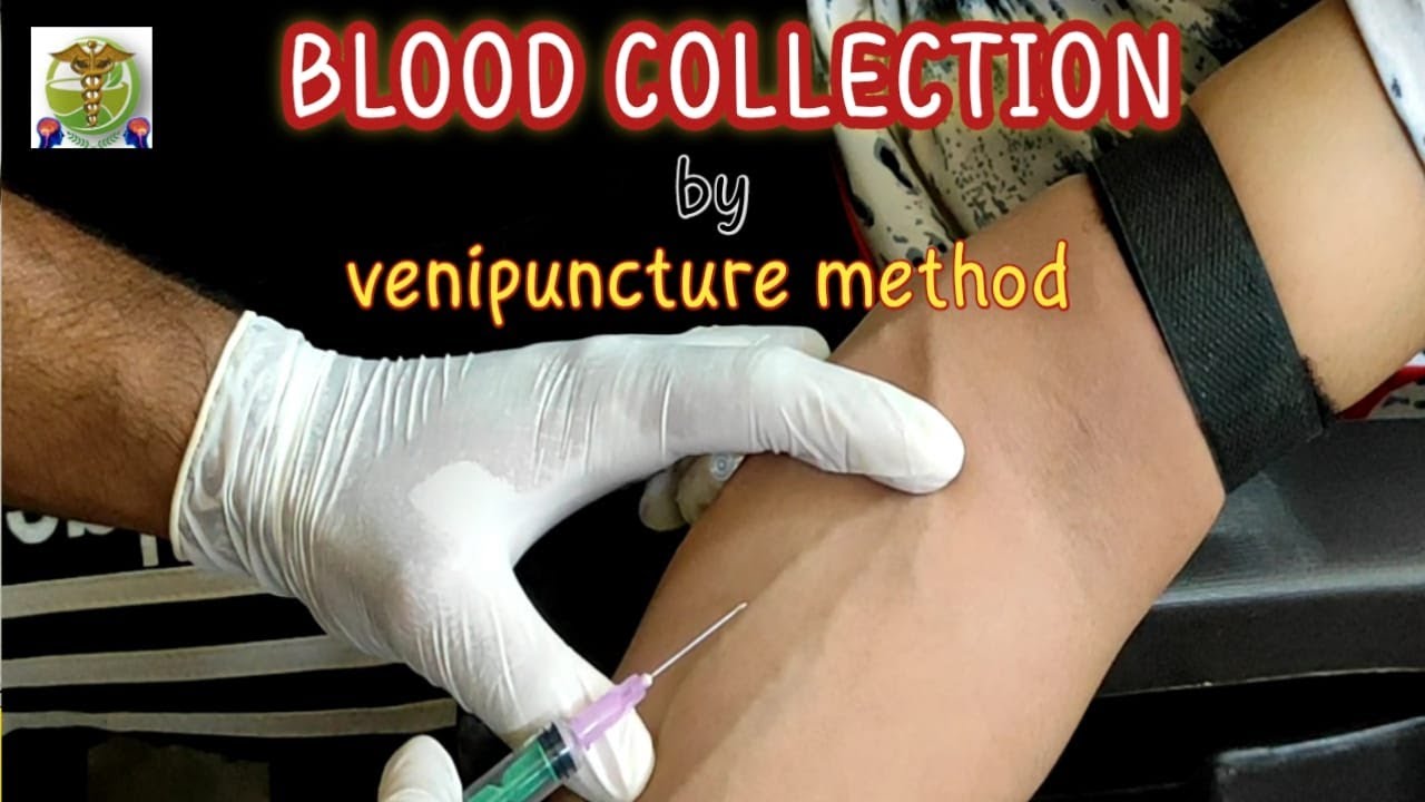 Blood collection by venipuncture method l How to collect venous blood l safe and effective way ...