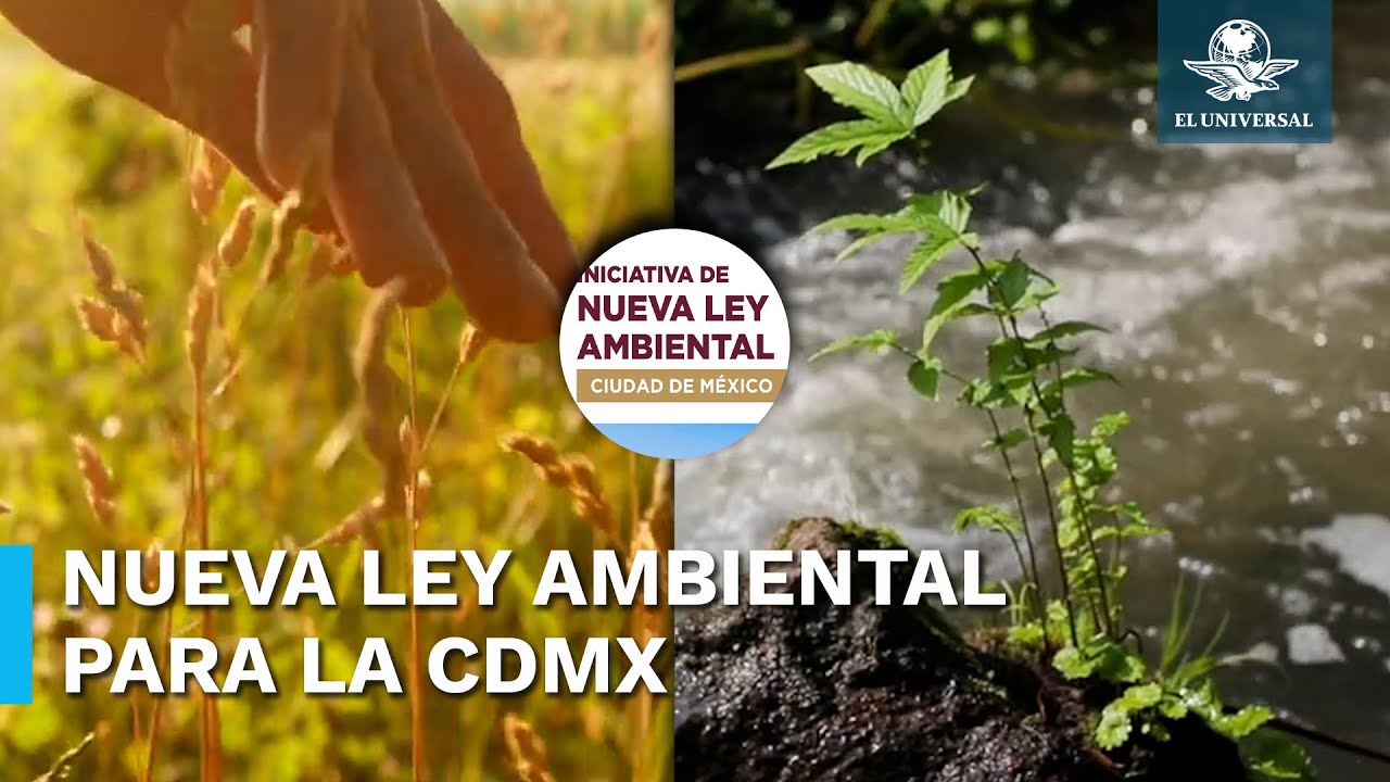 ¿En qué consiste la Nueva Ley Ambiental de la CDMX? - YouTube