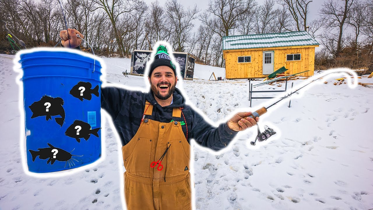 CATCHING Fish to STOCK My Backyard CABIN POND!!! - YouTube