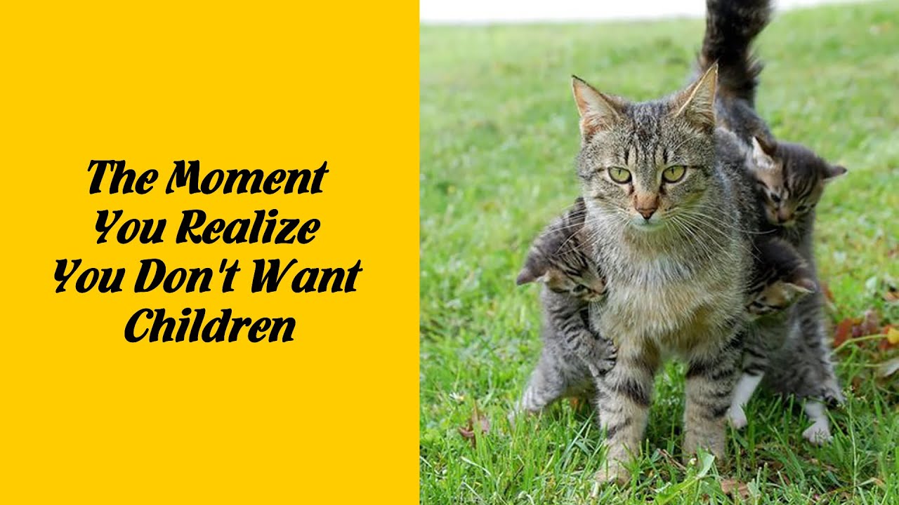 50 Animal Expressions That Perfectly Sum Up What It's Like To Be A ...